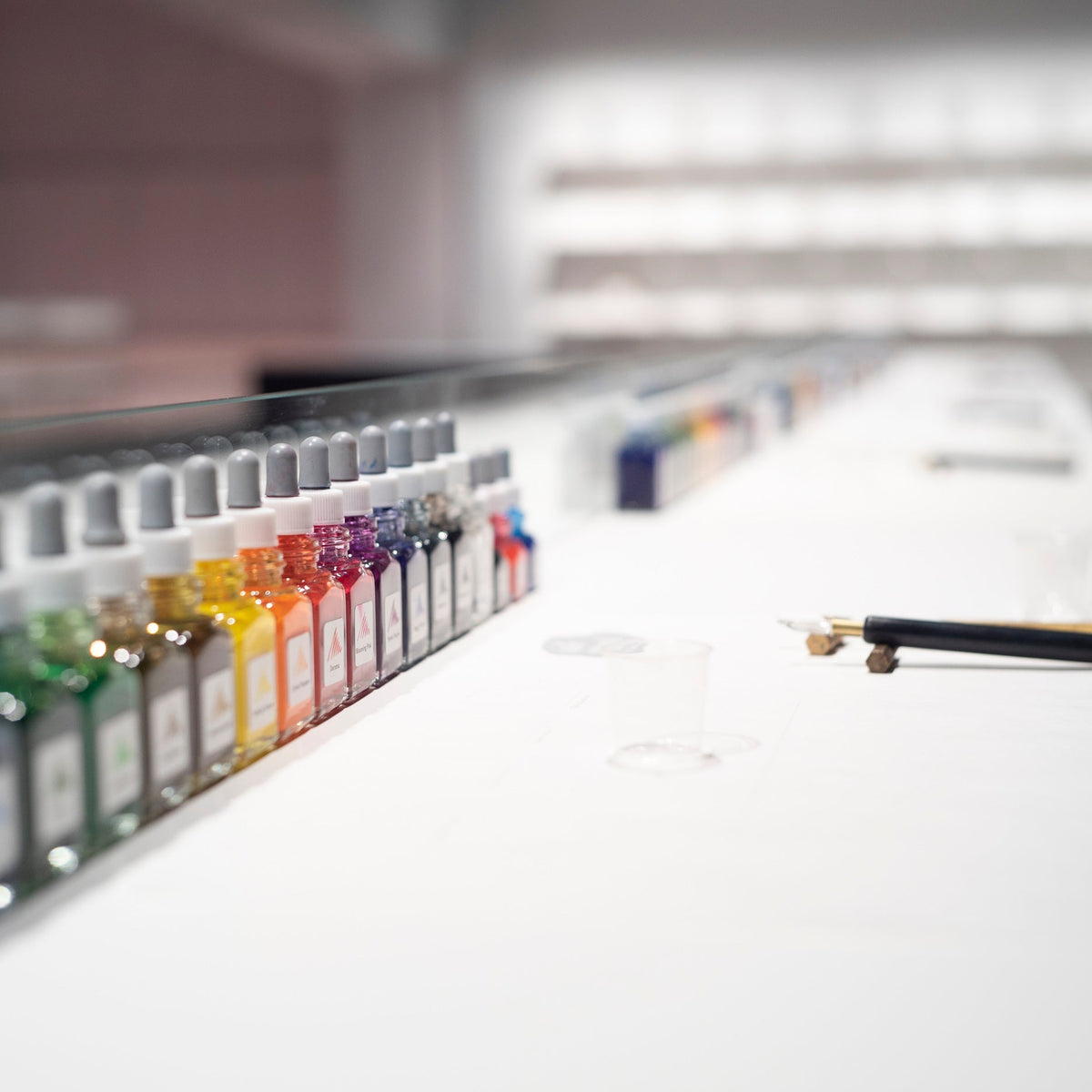 Kakimori Pop-Up – Atlas Stationers