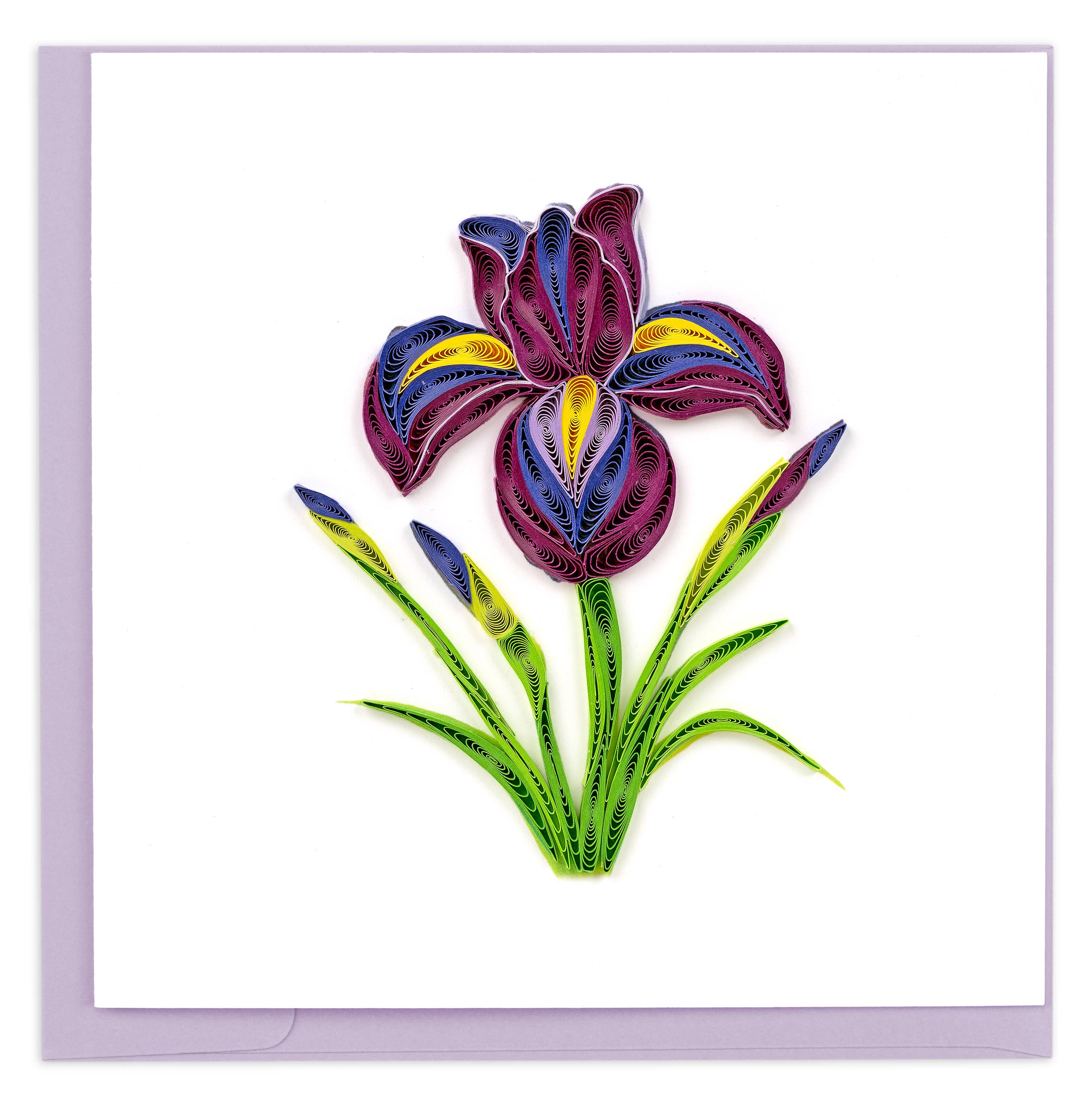 Quilled Iris Greeting Card | Atlas Stationers