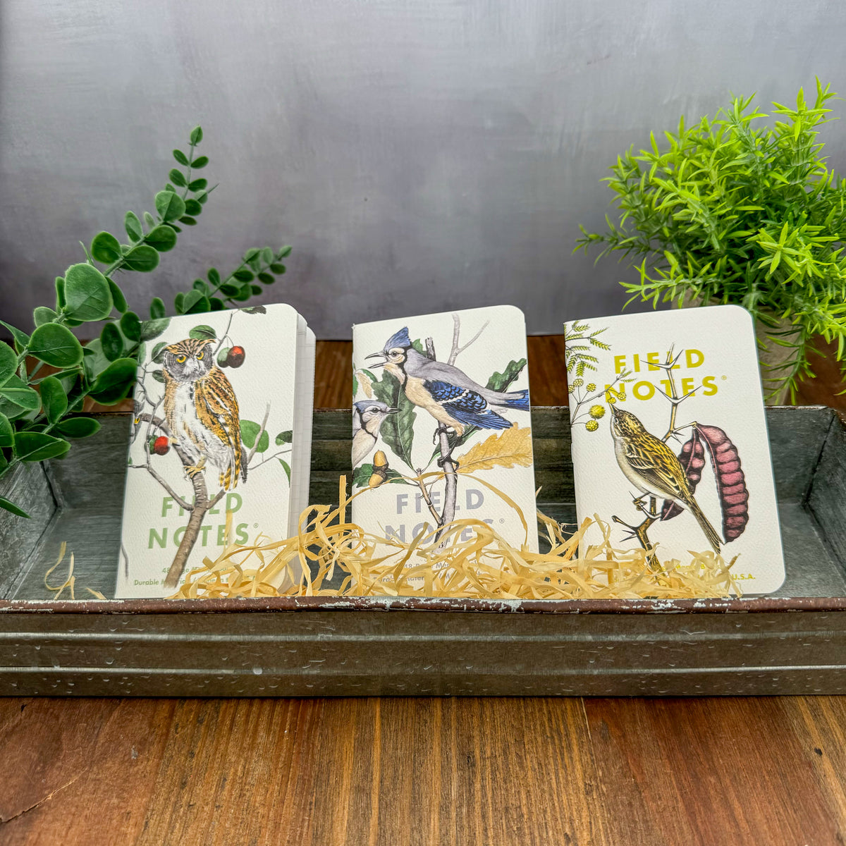 Field Notes Quarterly Edition - Birds and Trees of North America - Pac ...