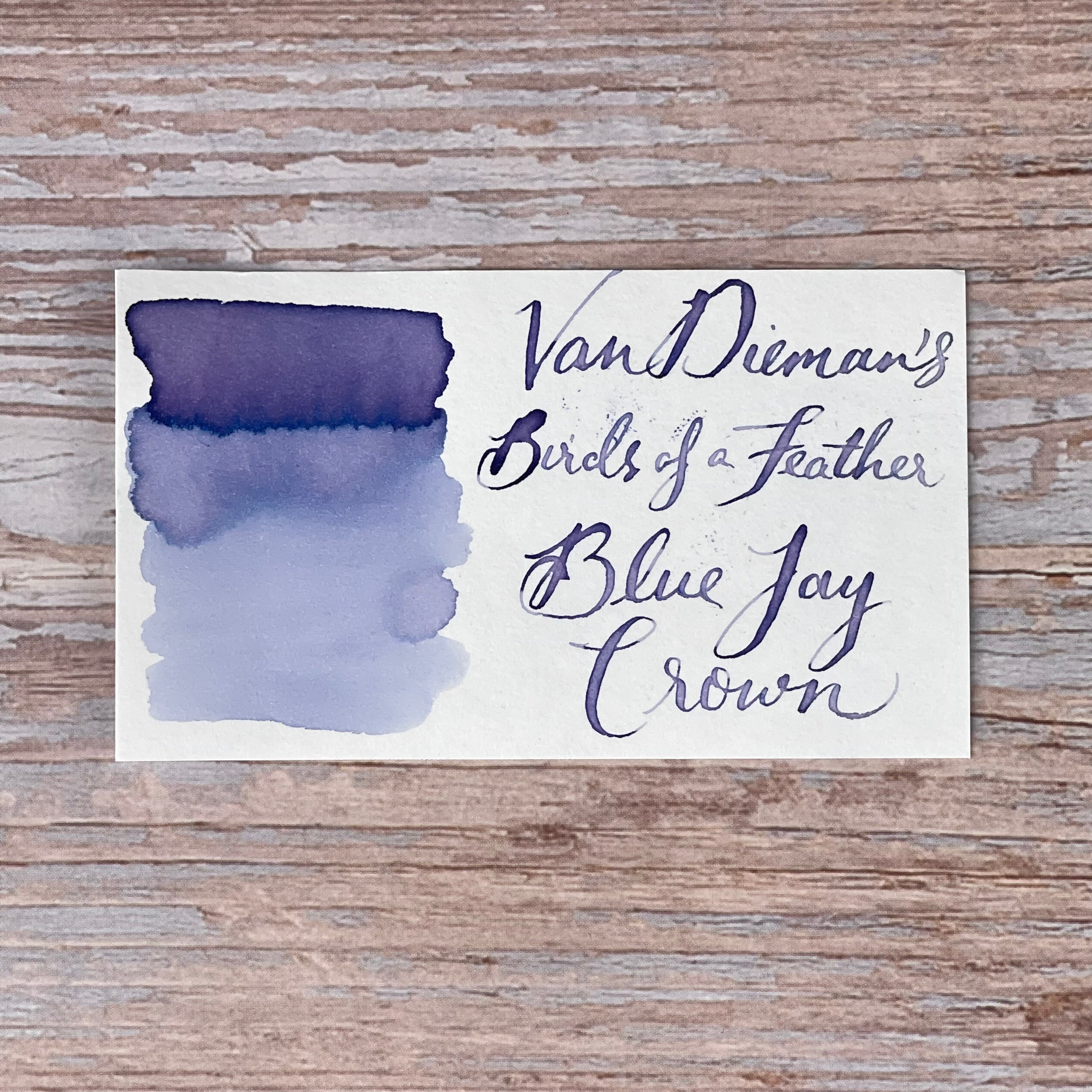 Van Dieman's Birds of a Feather - Blue Jay Crown - 30ml Bottled Ink ...