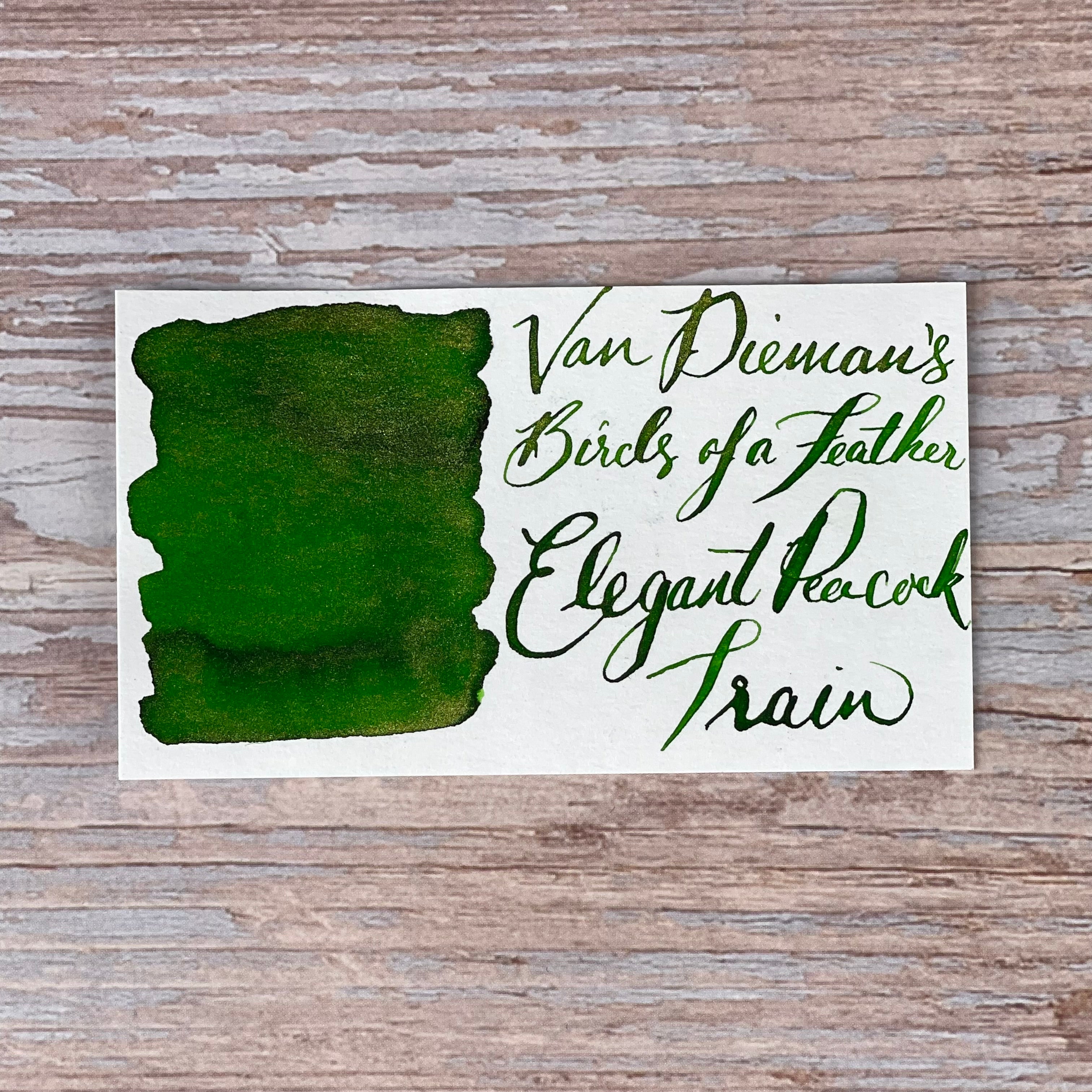 Van Dieman's Birds of a Feather - Elegant Peacock Train - Shimmering ...