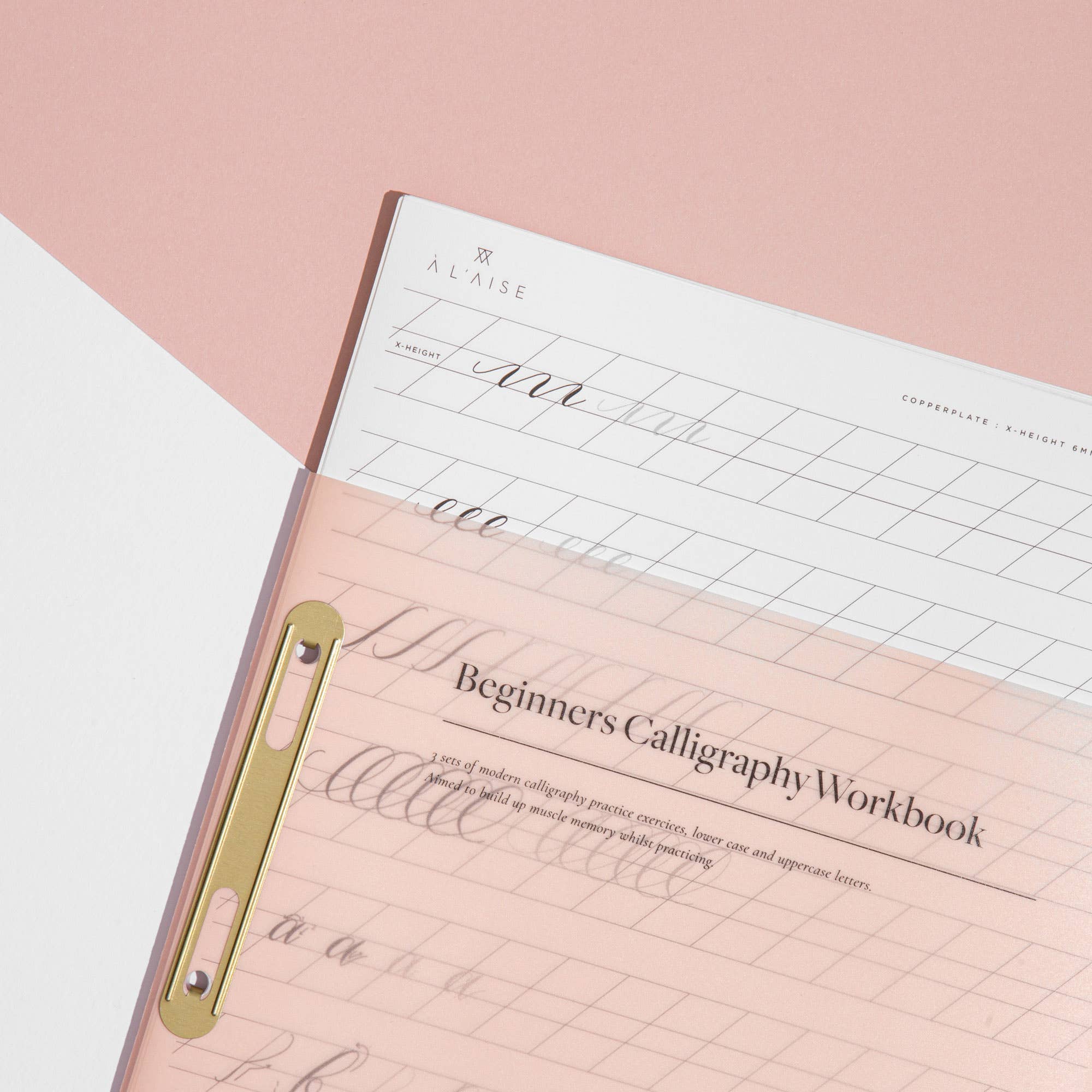 Modern Calligraphy Beginners Workbook | Atlas Stationers